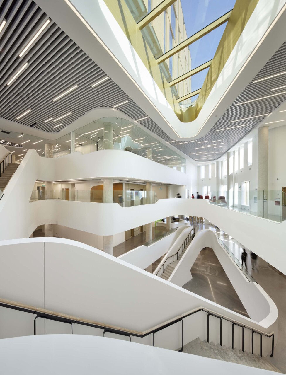 York University, Markham Campus - Maxxit Group
